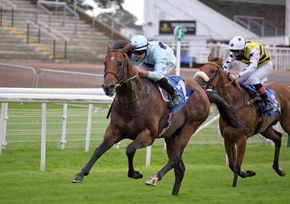 Starman (GB) - Horse Profile - BloodHorse
