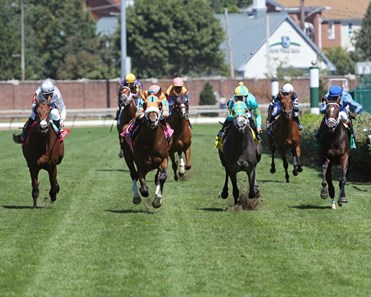 Fancy Liquor - Horse Profile - BloodHorse