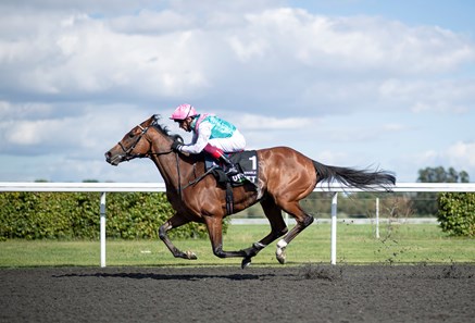 Enable (GB) - Horse Profile - BloodHorse