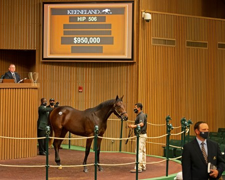 Mayberry Signs for $950,000 Uncle Mo Colt - BloodHorse