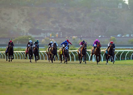 GMAX Timing for Del Mar Turf After Summer Course Survey - BloodHorse