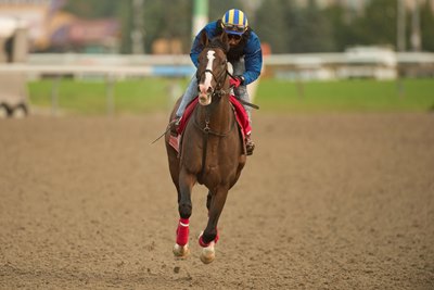 Equibase | Horse Racing | Horse Racing Entries | Horse Racing Results ...