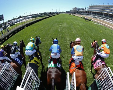 Fancy Liquor - Horse Profile - BloodHorse