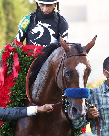 Authentic Rises to No. 4 Spot in BC Classic Rankings - BloodHorse