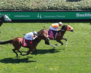Fancy Liquor - Horse Profile - BloodHorse