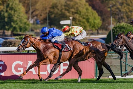 Earthlight (IRE) - Horse Profile - BloodHorse