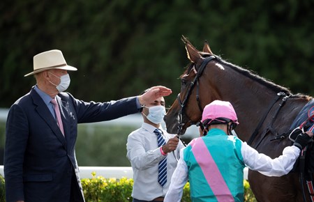 Enable (GB) - Horse Profile - BloodHorse
