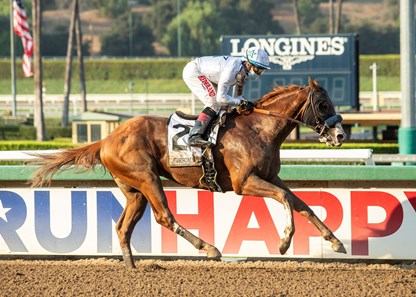 Improbable - Horse Profile - BloodHorse