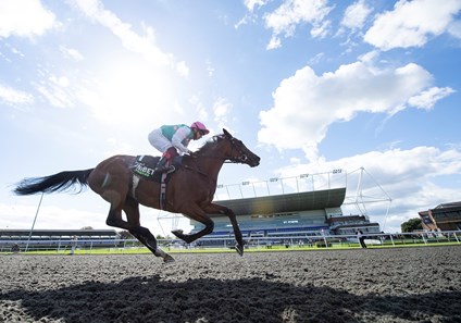 Enable (GB) - Horse Profile - BloodHorse