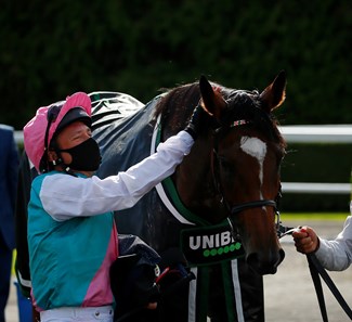 Enable (GB) - Horse Profile - BloodHorse