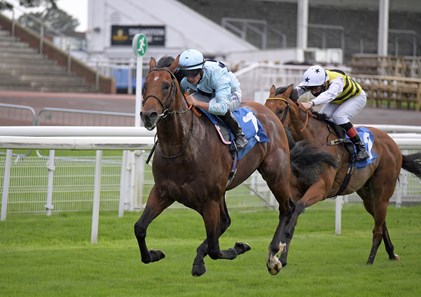 Starman (GB) - Horse Profile - BloodHorse