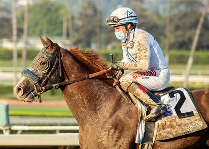 Improbable - Horse Profile - BloodHorse