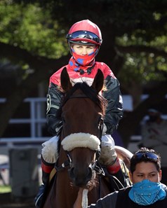 Atta Kid - Horse Profile - BloodHorse