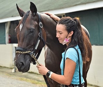 Sole Volante - Horse Profile - BloodHorse
