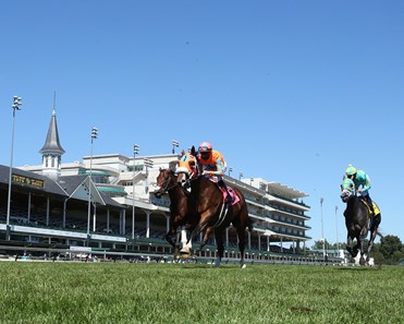Fancy Liquor - Horse Profile - BloodHorse