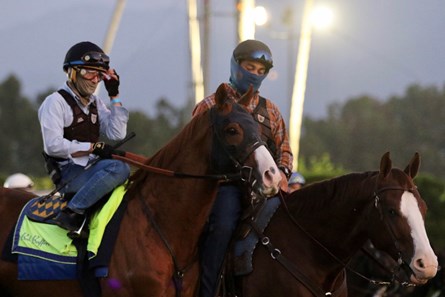 Improbable - Horse Profile - BloodHorse