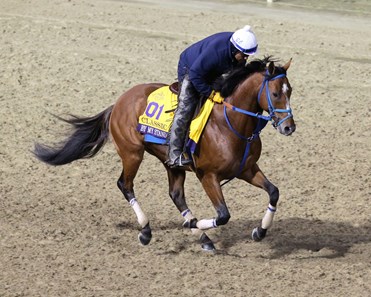 By My Standards - Horse Profile - BloodHorse