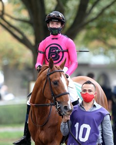 Got Stormy - Horse Profile - BloodHorse