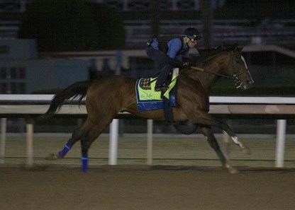 Authentic - Horse Profile - BloodHorse