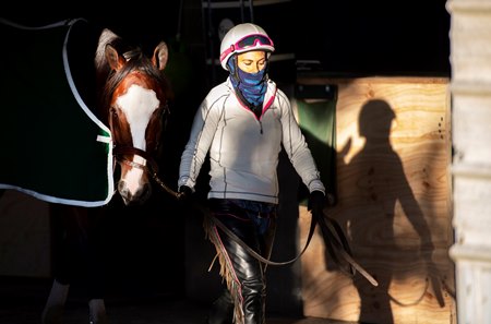 Smullen Still on Road to Recovery - BloodHorse