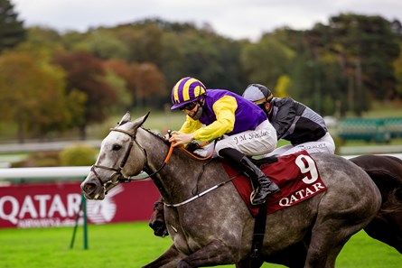 Princess Zoe (GER) - Horse Profile - BloodHorse