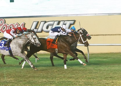 Quality Rocket - Horse Profile - BloodHorse