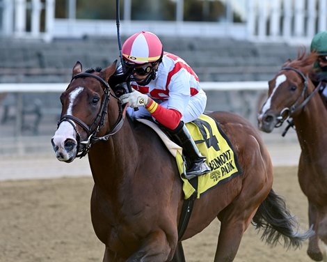 Complexity to Airdrie Stud; 2021 Fees Announced - BloodHorse