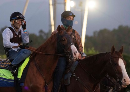 Improbable - Horse Profile - BloodHorse