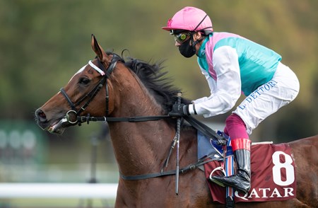 Enable (GB) - Horse Profile - BloodHorse