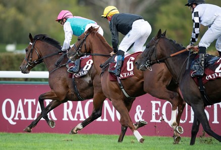 Enable (GB) - Horse Profile - BloodHorse