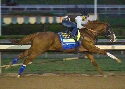 Improbable - Horse Profile - BloodHorse