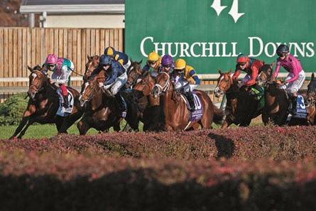 Enable (GB) - Horse Profile - BloodHorse