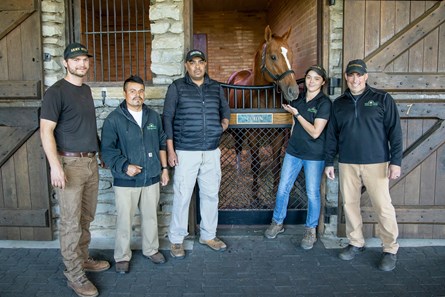 Hill ‘n’ Dale Stallions Arrive at Xalapa - Slideshow - BloodHorse