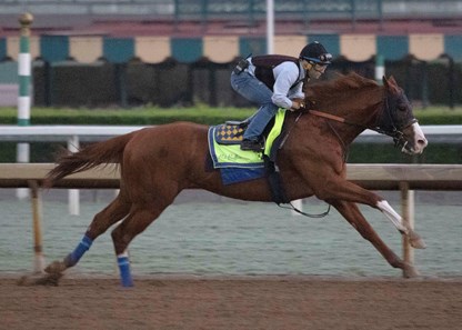 Improbable - Horse Profile - BloodHorse