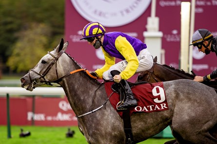 Princess Zoe (GER) - Horse Profile - BloodHorse