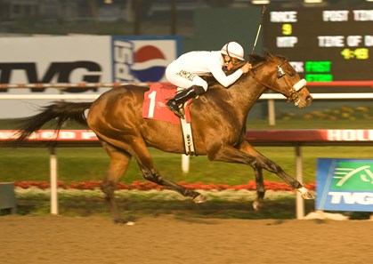 Colonel John - Horse Profile - BloodHorse