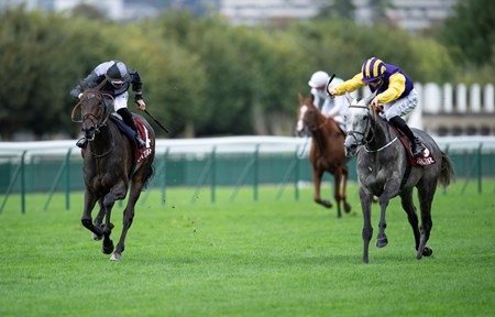 Princess Zoe (GER) - Horse Profile - BloodHorse