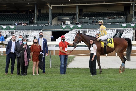 Diamond Oops - Horse Profile - BloodHorse