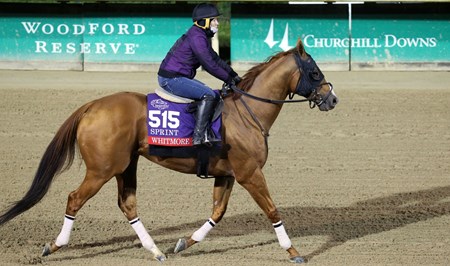 Whitmore - Horse Profile - BloodHorse