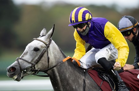 Princess Zoe (GER) - Horse Profile - BloodHorse