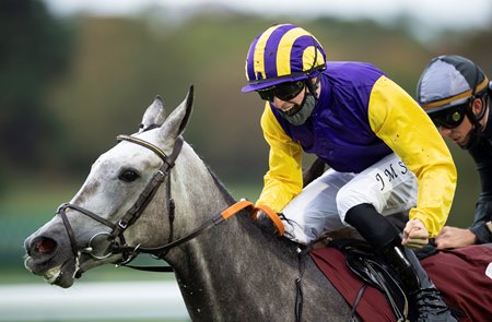 Princess Zoe Connections Make Ambitious Arc Plans - TrueNicks.com