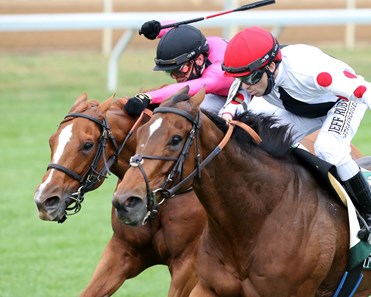 Got Stormy - Horse Profile - BloodHorse