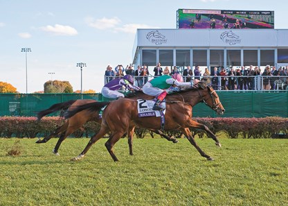 Enable (GB) - Horse Profile - BloodHorse