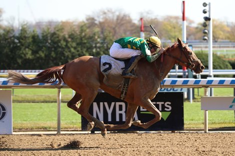 Royal Flag Wins First Stakes in Turnback the Alarm - BloodHorse