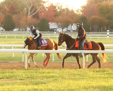 Whitmore - Horse Profile - BloodHorse