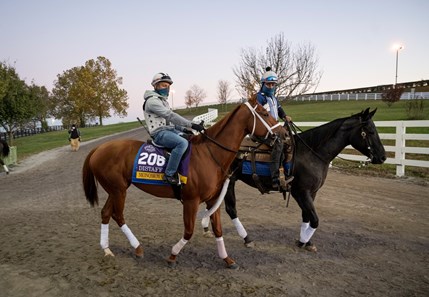 Monomoy Girl - Horse Profile - BloodHorse