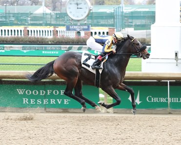 Roderick - Horse Profile - BloodHorse