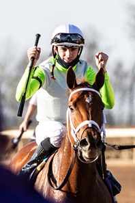 Monomoy Girl - Horse Profile - BloodHorse