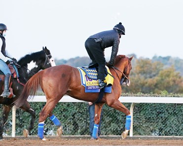 Improbable - Horse Profile - BloodHorse