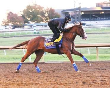 Improbable - Horse Profile - BloodHorse